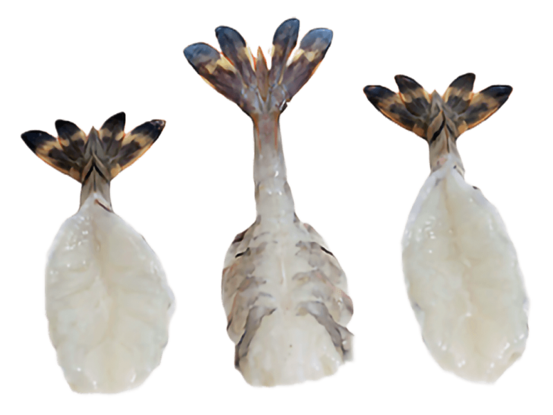 Black Tiger Shrimp
